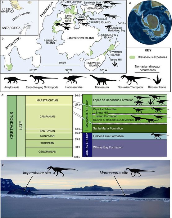 Isla Ross :: Mesozoico Chileno