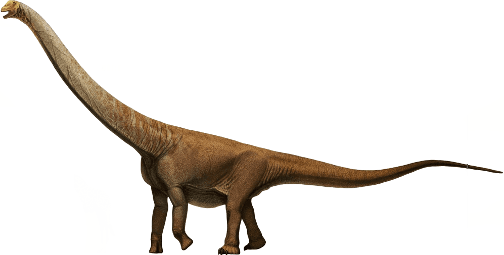 Enciclopedia de los Dinosaurios en Chile :: Mesozoico Chileno